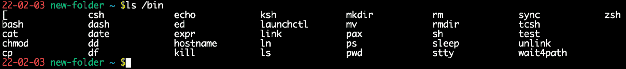 Shell Scripting | Intro to the CLI Part 5